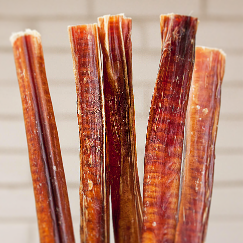 Bully Sticks | Pet Wants Charlotte