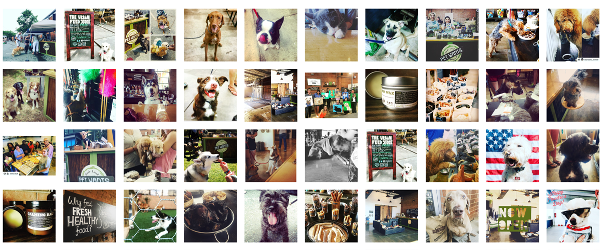 We Are Hiring Pet Wants Charlotte we-are-hiring-pet-wants-charlotte