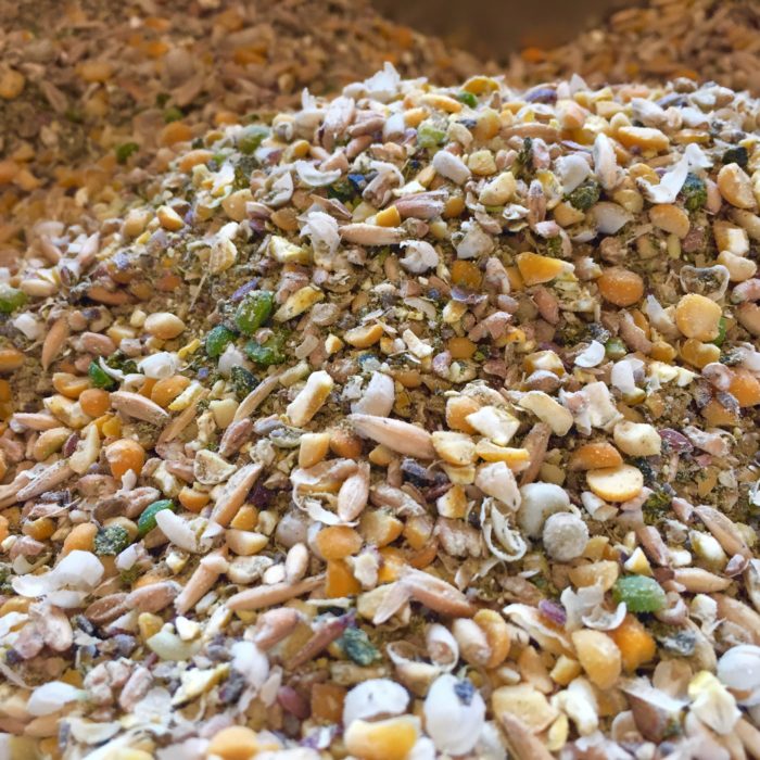 Scratch Chicken Feed - Pet Wants Charlotte