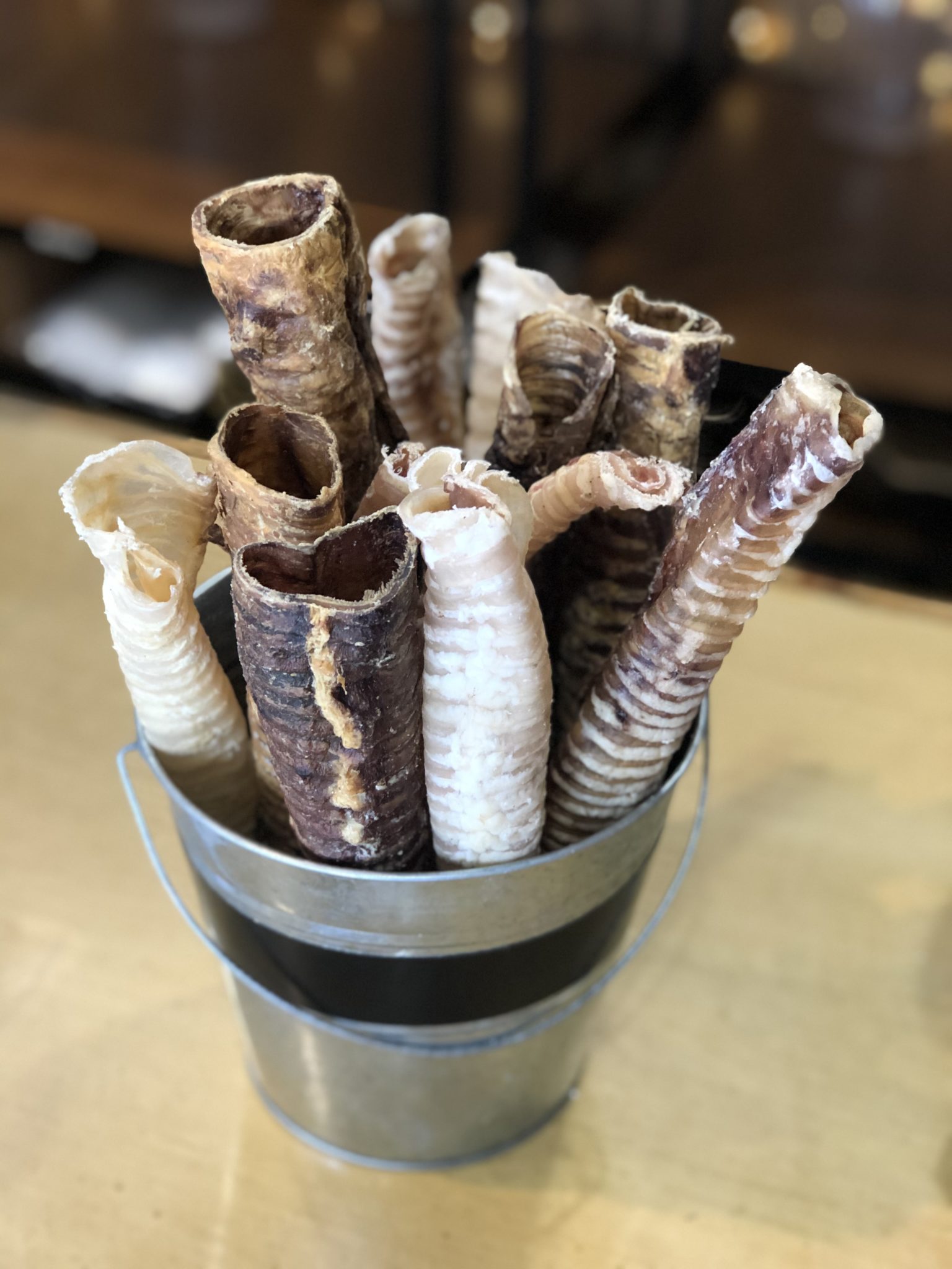 Beef Trachea - Pet Wants Charlotte